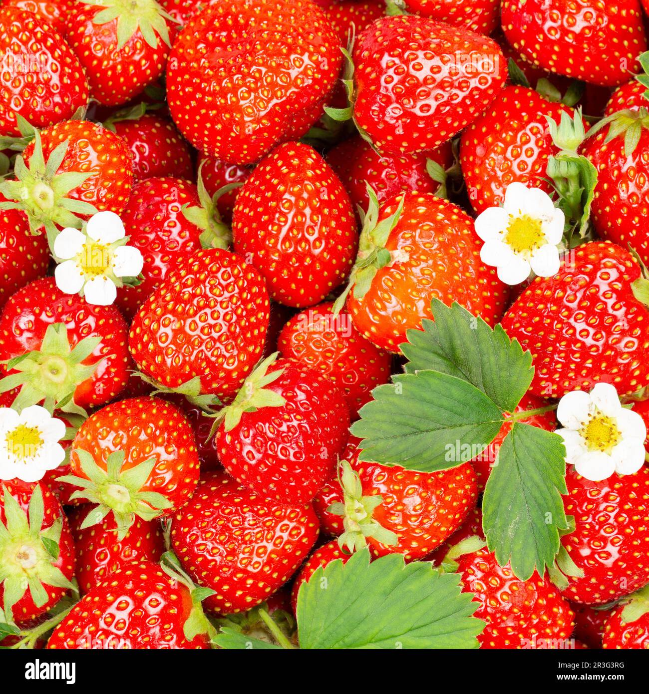 Strawberries berries fresh fruit strawberry berry fruit from above with ...