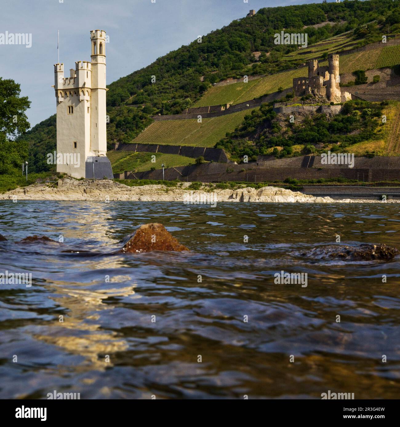 Bingen Mouse Tower and Ehrenfels Castle, Upper Middle Rhine Valley ...