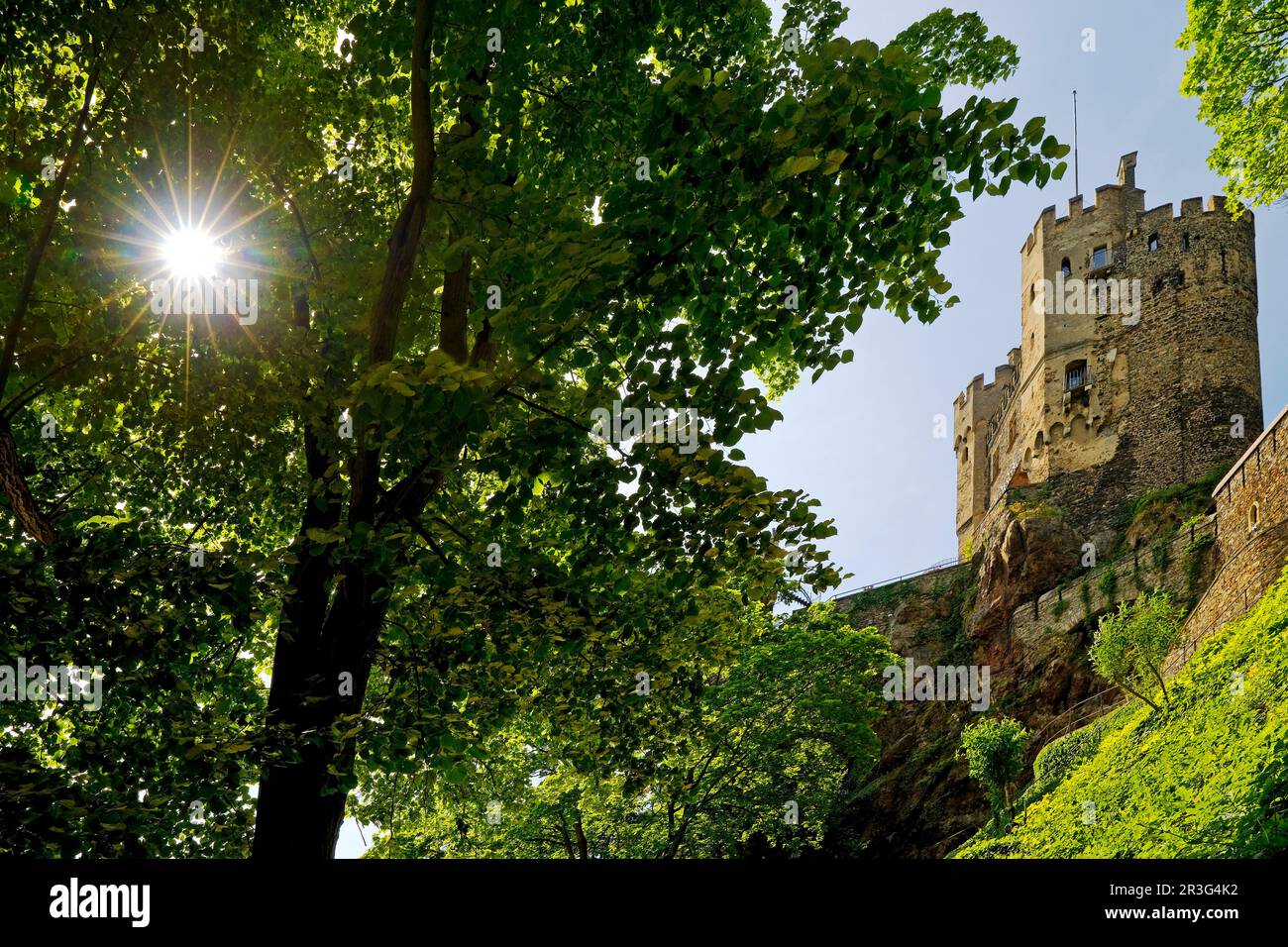 Mainz castle hi-res stock photography and images - Alamy