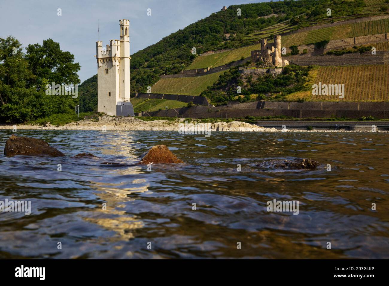 Bingen Mouse Tower and Ehrenfels Castle, Upper Middle Rhine Valley ...