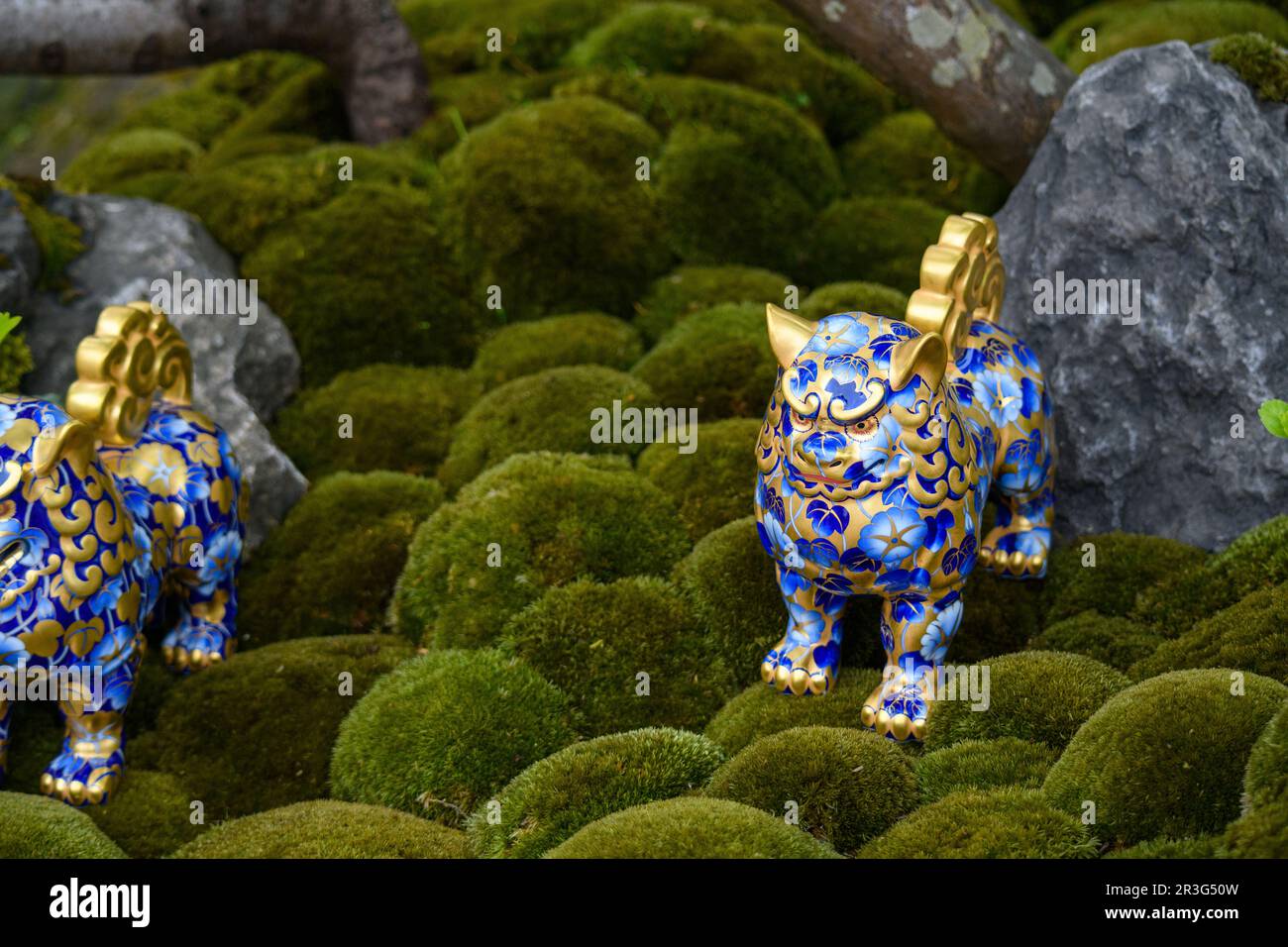 Restorative nature hi-res stock photography and images - Alamy