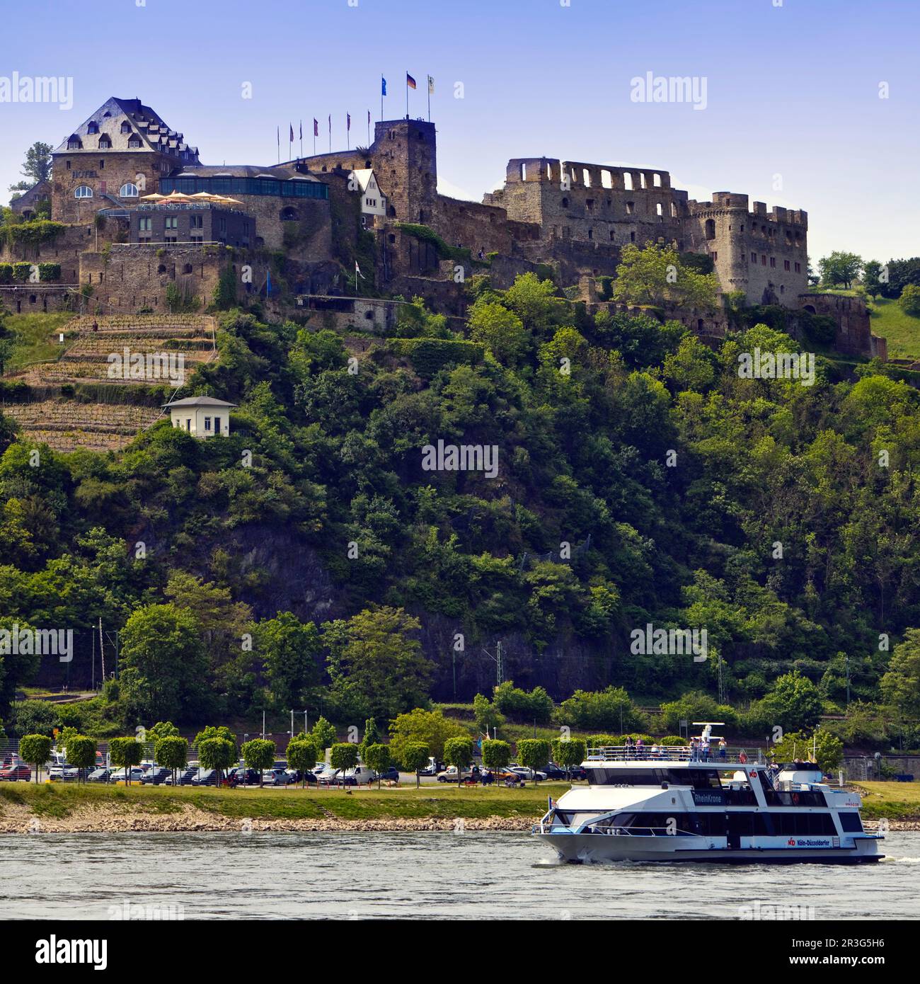Rheinfels Castle with passenger ship on the Rhine, St. Goar, Upper ...