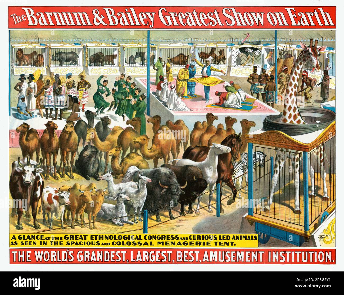 Vintage Barnum & Bailey circus poster showing people of different ...