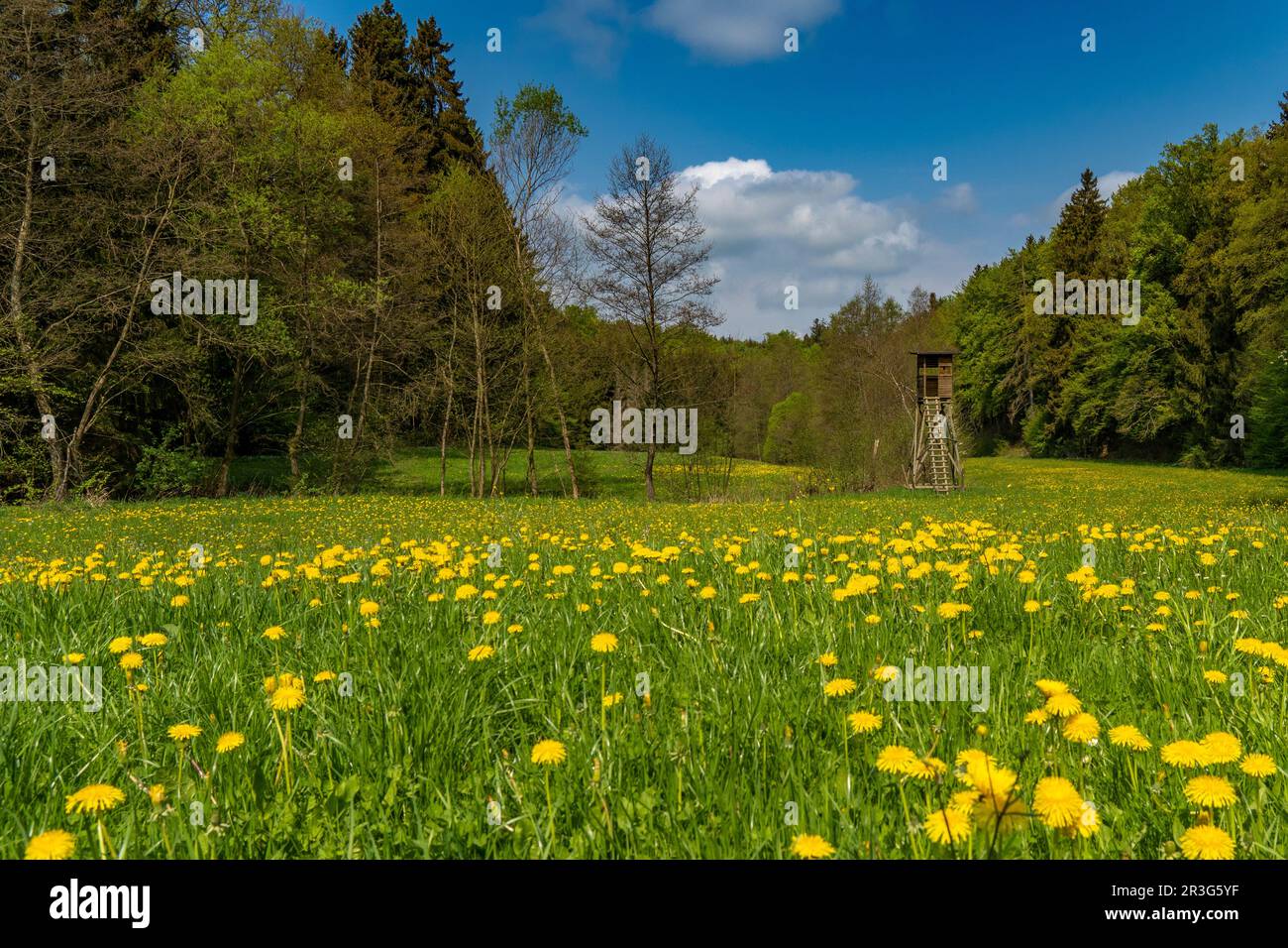 Spring meadows in the RhÃ¶n Stock Photo - Alamy
