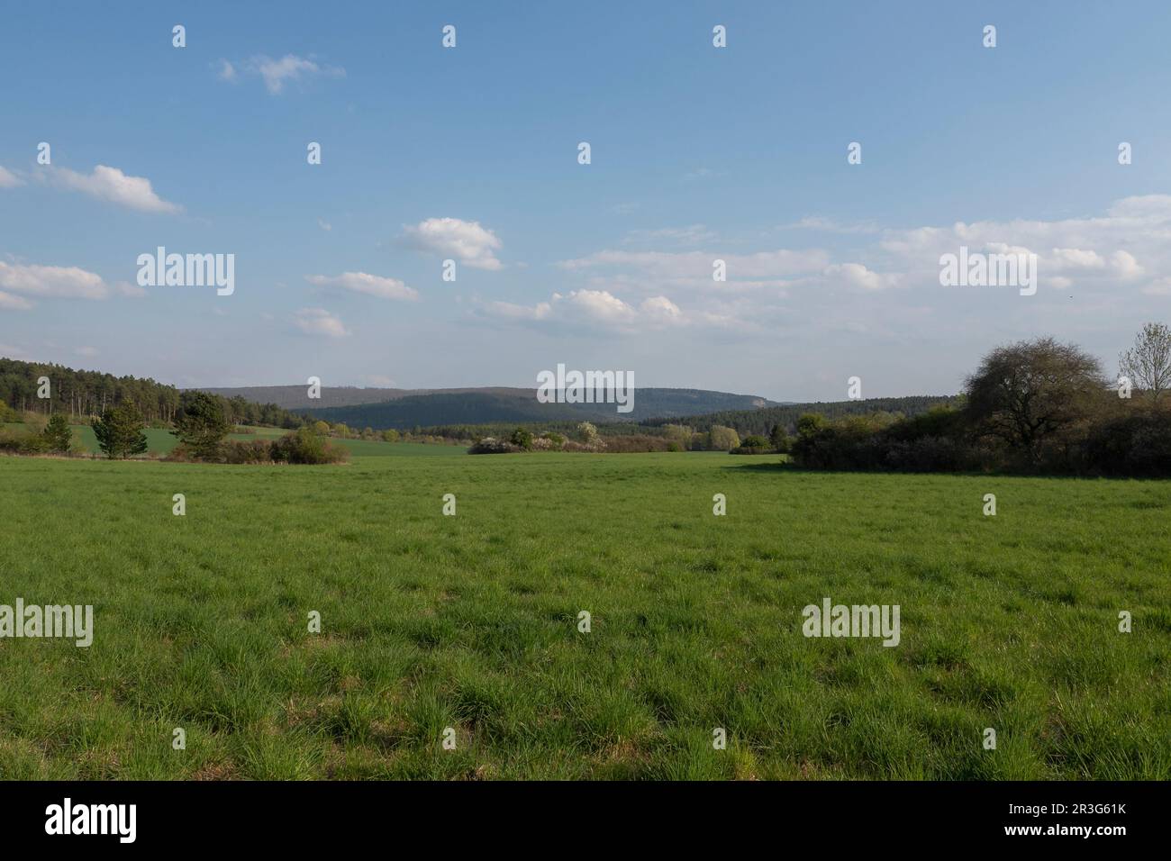 Landscape in spring Stock Photo - Alamy