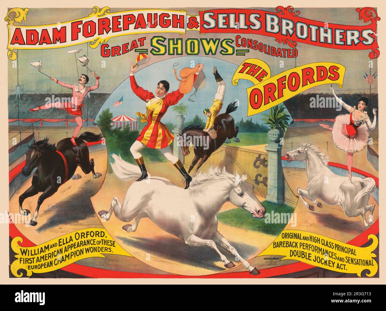 Vintage Adam Forepaugh & Sells Brothers circus poster showing bareback ...