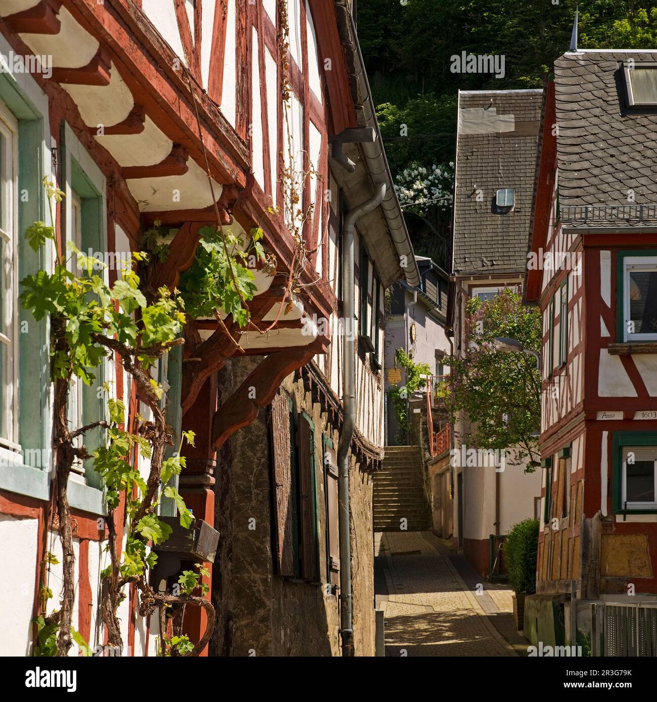 Half-timbered houses and narrow path, old town, Braubach, Rhineland ...