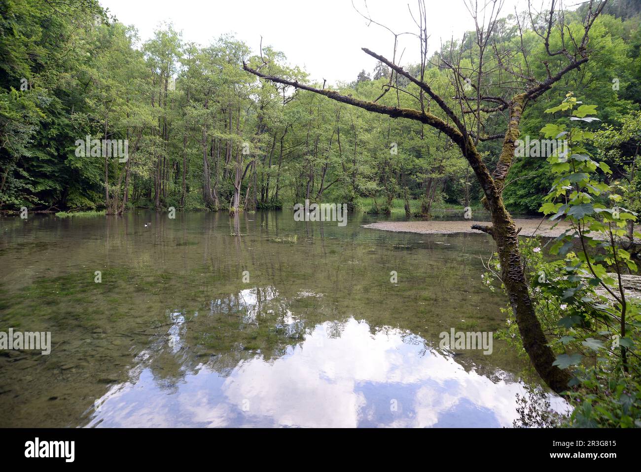 Spring pond of the Alme Stock Photo - Alamy