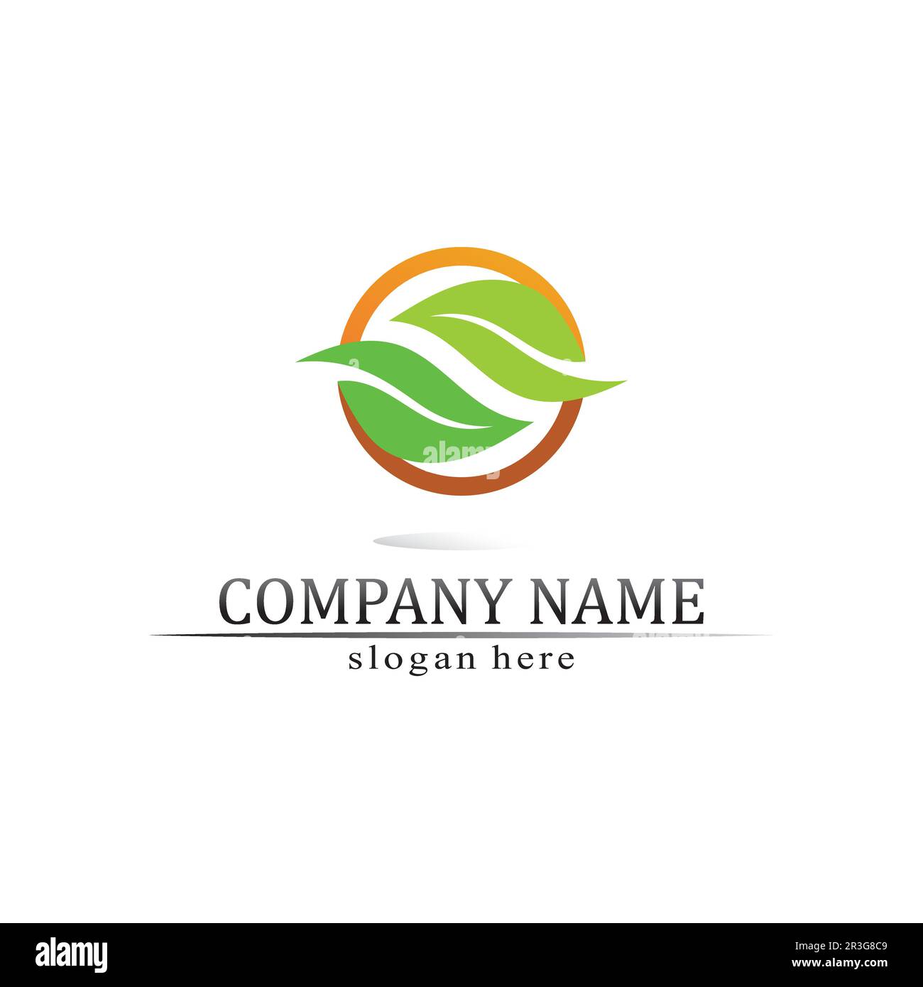 Root japanese summer tree Stock Vector Images - Alamy