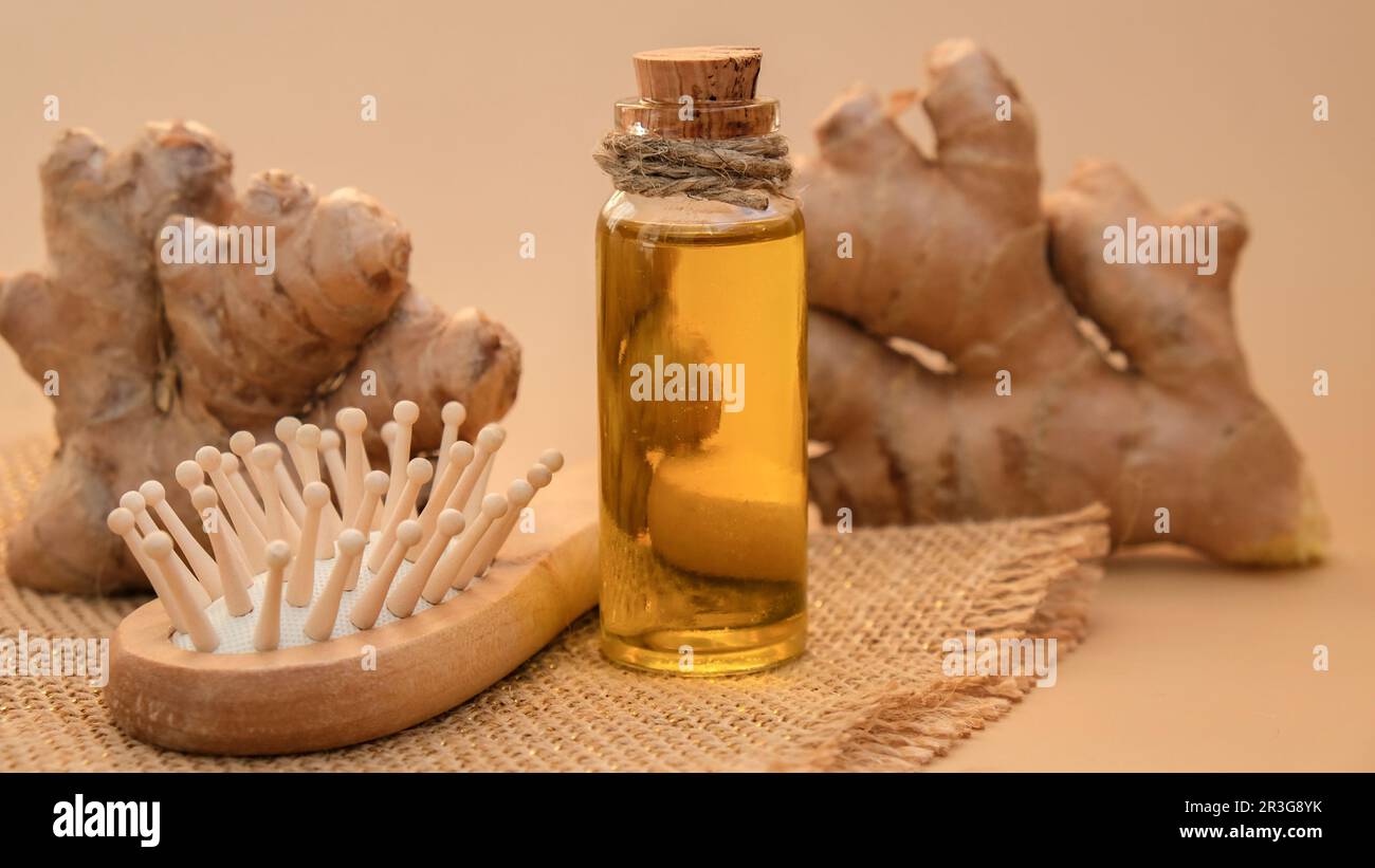 Glass bottle of essential ginger oil, ginger root on beige background ...