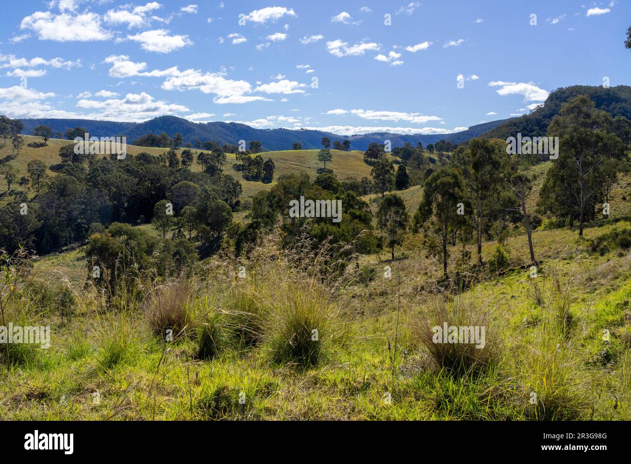 Main range national park queensland hi-res stock photography and images ...