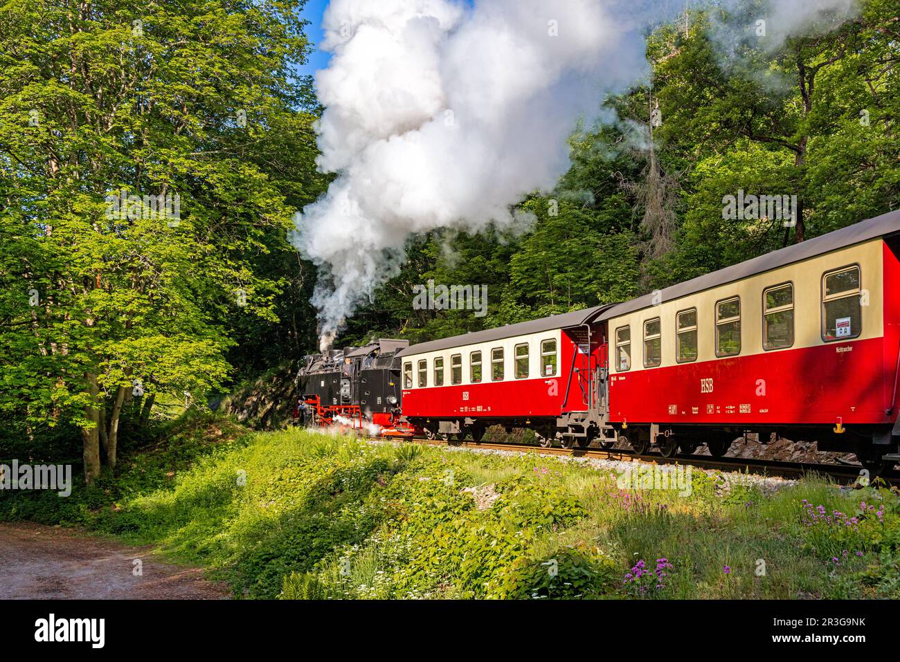 Selketalbahn In The Harz Mountains Stock Photo Alamy