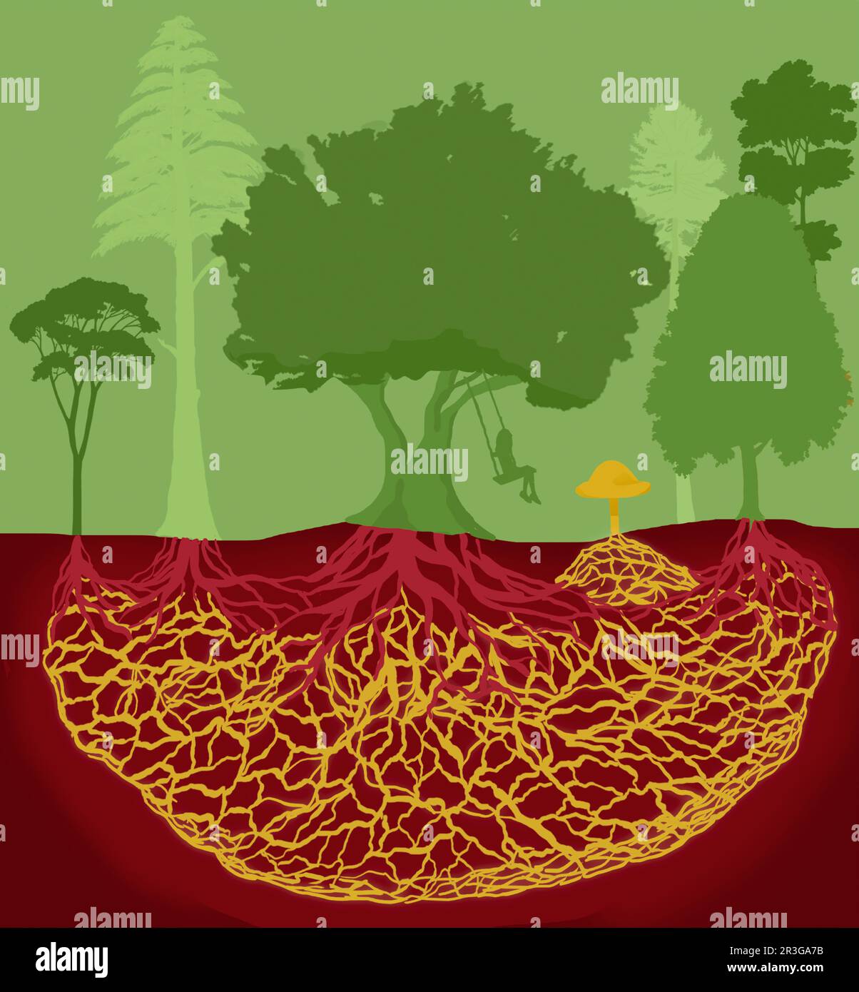 Fungi network, conceptual illustration Stock Photo - Alamy