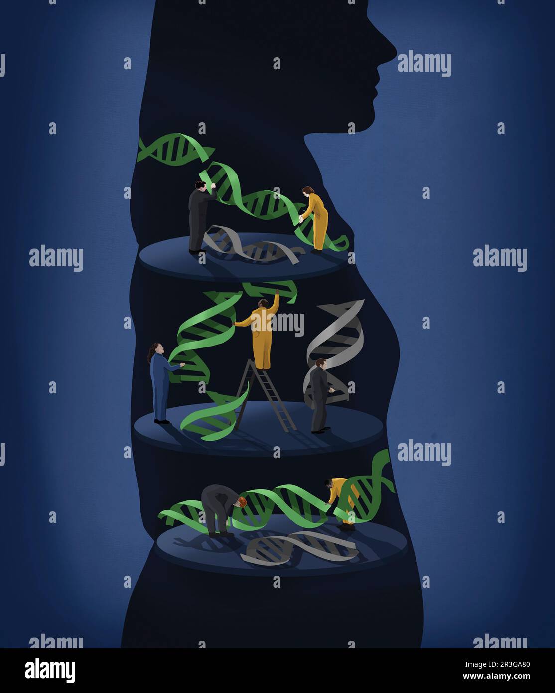 Gene therapy, conceptual illustration Stock Photo - Alamy