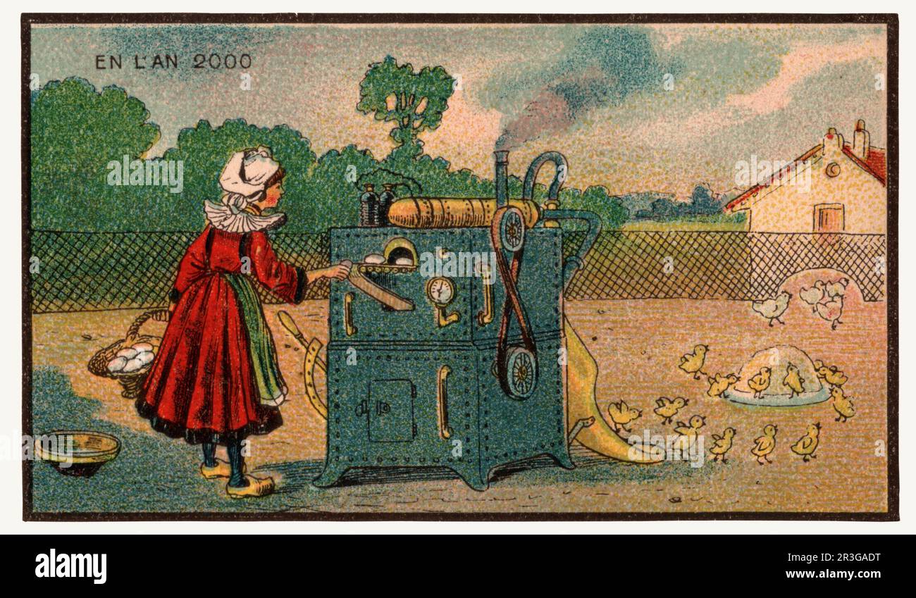 Poultry breeding, illustration Stock Photo - Alamy