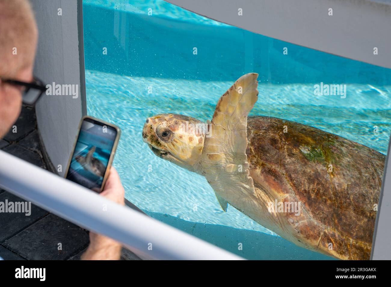 Juno Beach, Florida, USA. 23rd May, 2023. May 23, 2023, Juno Beach ...