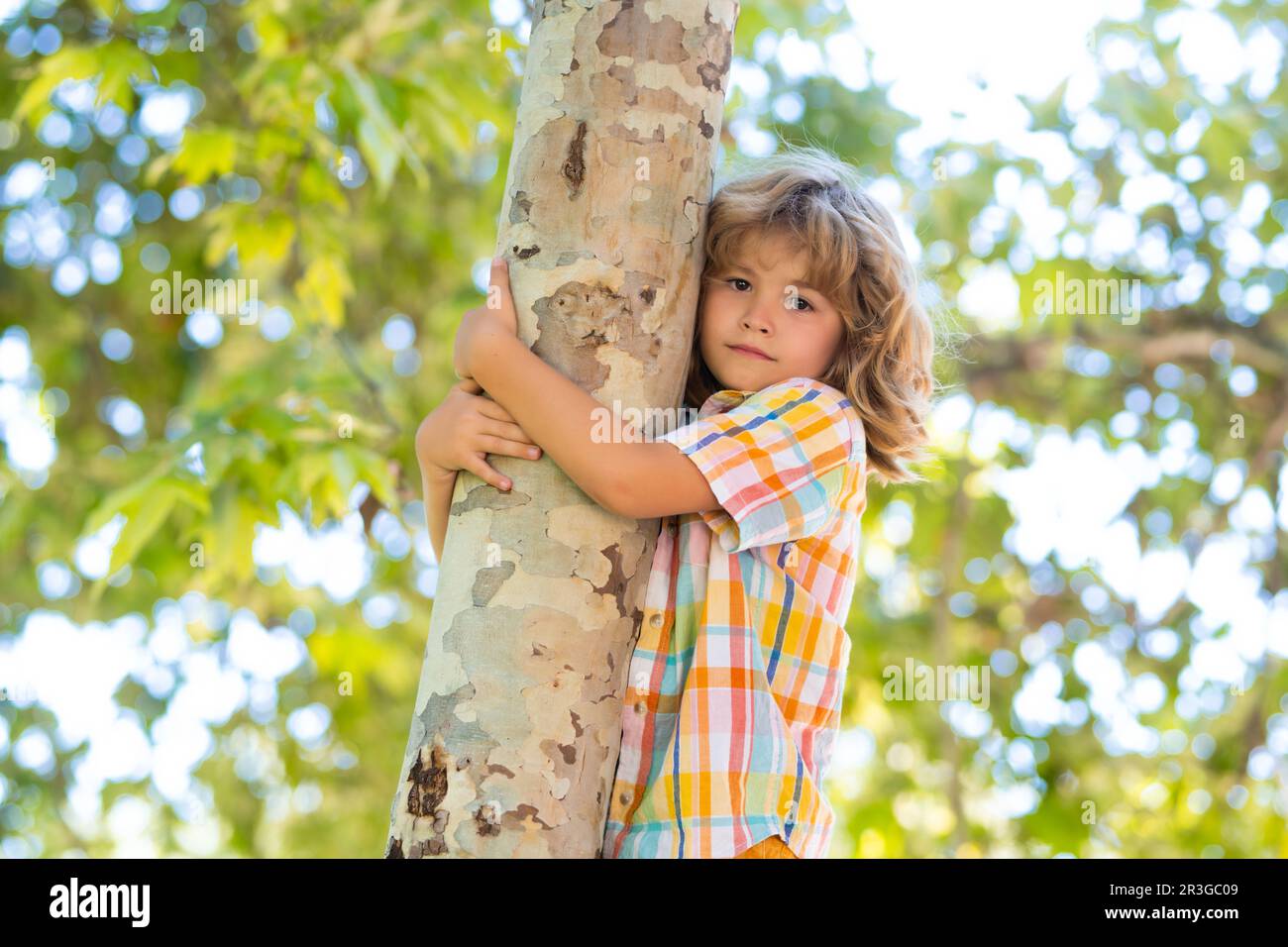 Child hugging a tree branch. Little boy kid on a tree branch. Kid ...