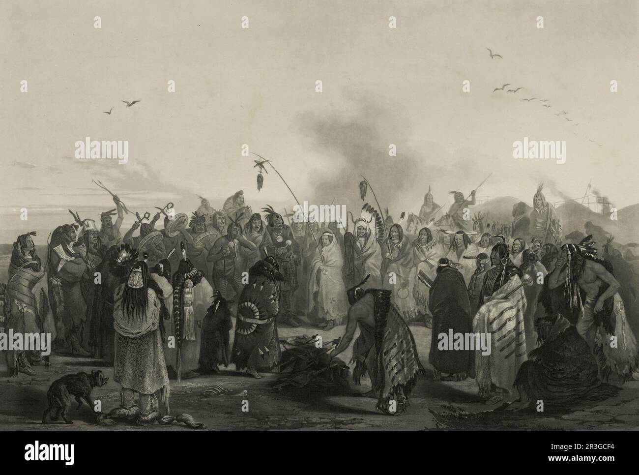 Large group of Hidatsa Indians engaged in a ceremonial dance Stock ...