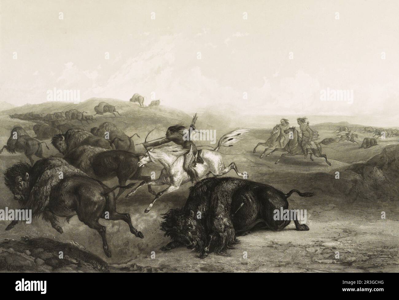 Indians hunting bison with archery bow Stock Photo - Alamy