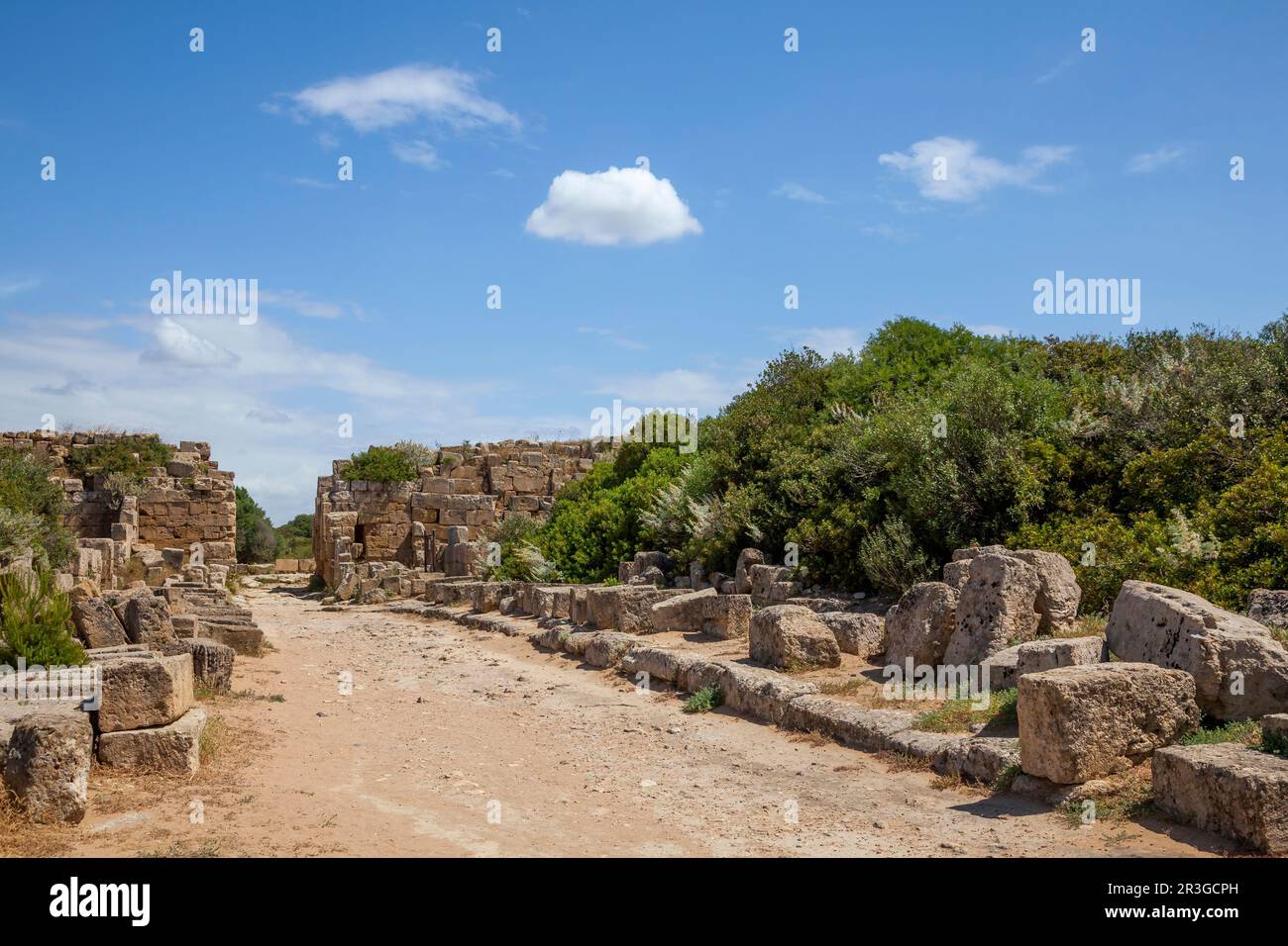 Selinunte Archaeological Park, Sicily Stock Photo - Alamy