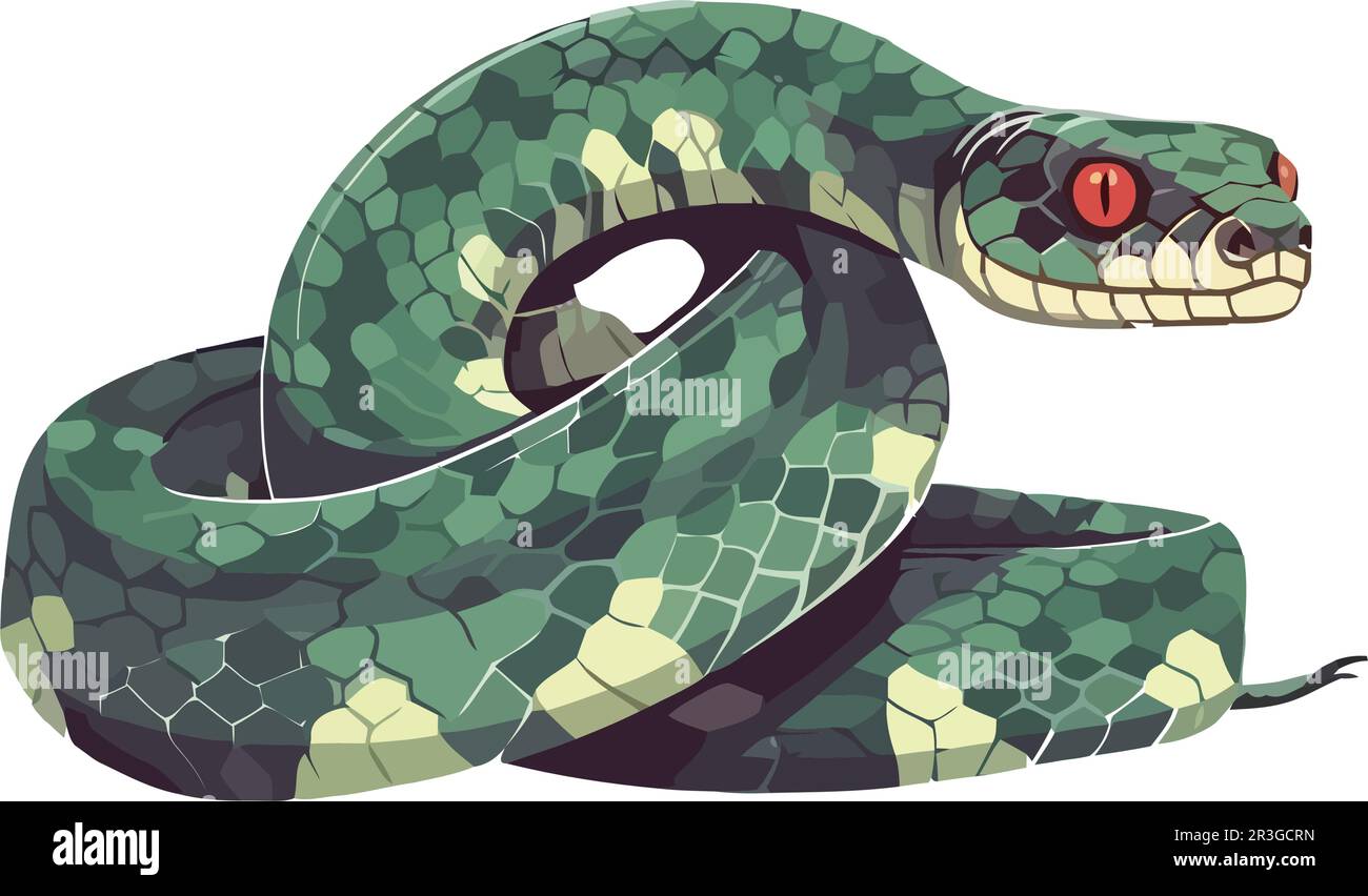 Spooky snake crawling, dangerous animal in nature Stock Vector Image ...
