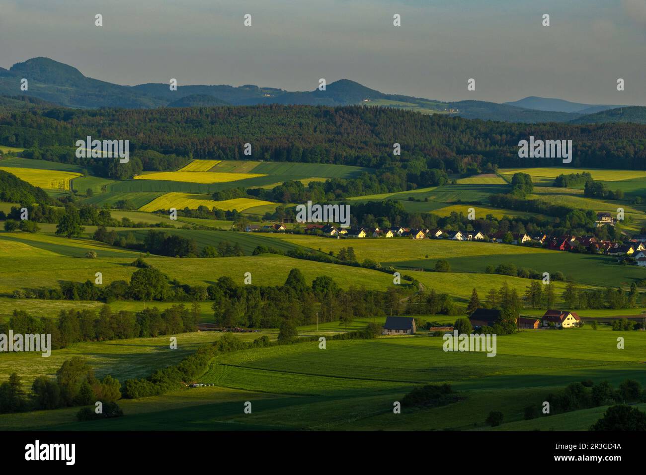 Hessian forest hi-res stock photography and images - Alamy