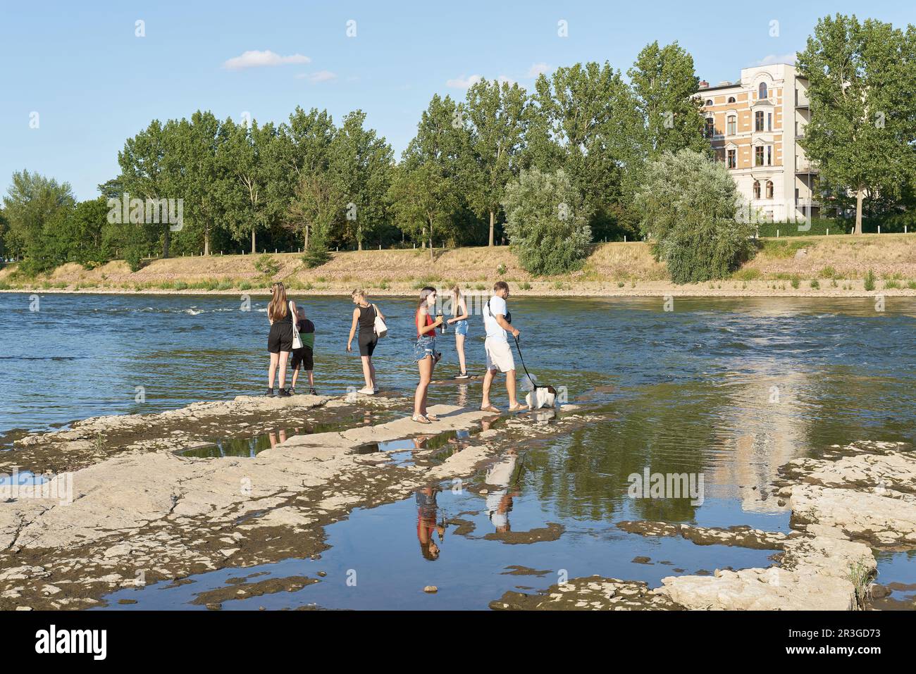Dried up riverbed of river Elbe near Magdeburg in Germany during big ...