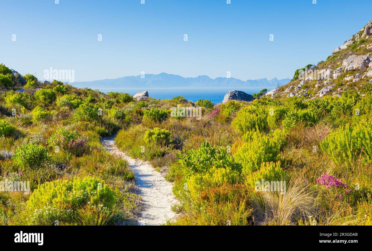 Dirt Track hiking paths on top of a mountain by the coast Stock Photo ...