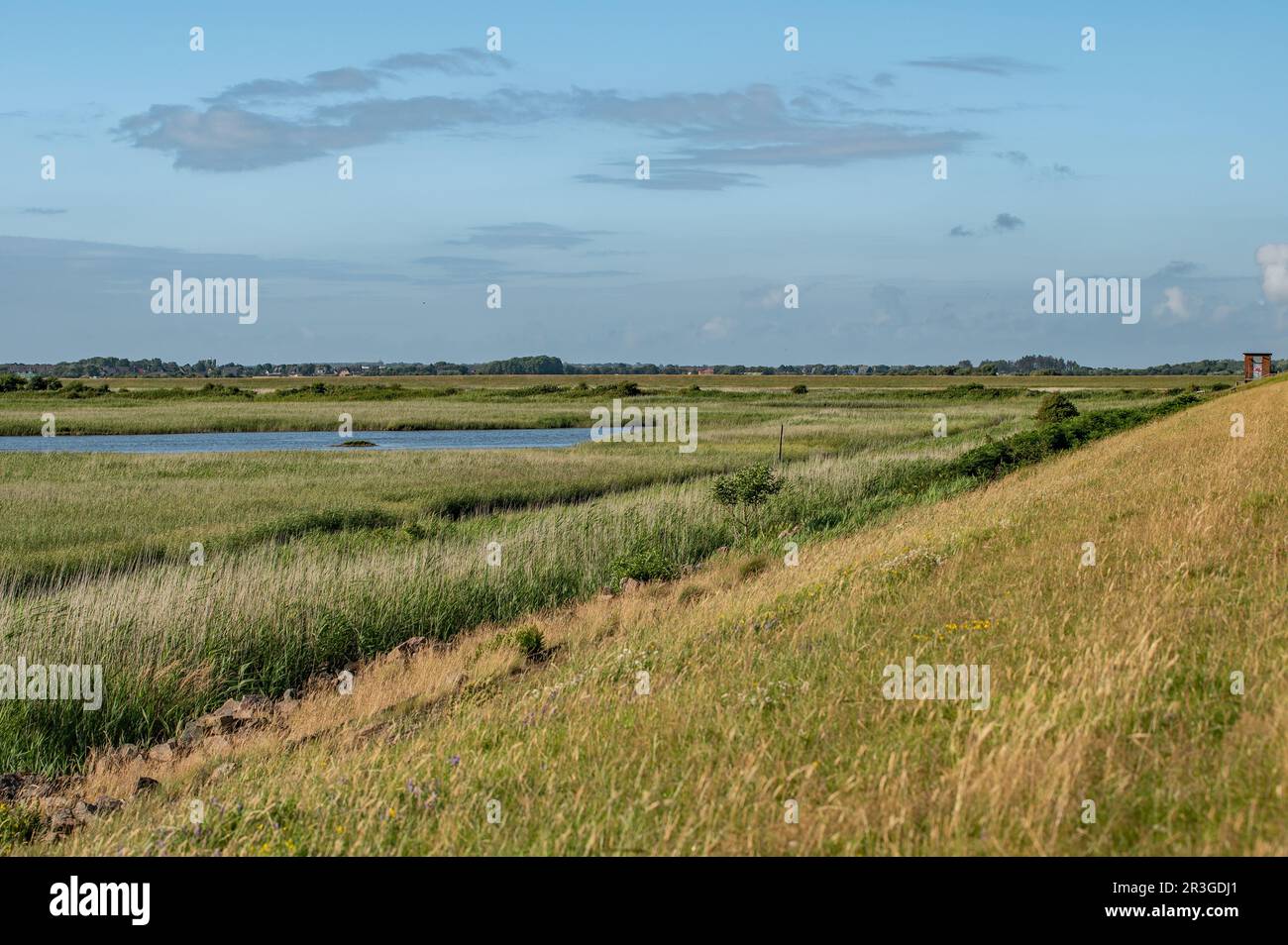 Shallow basin hi-res stock photography and images - Alamy
