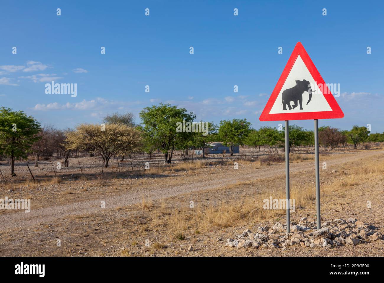 Road sign with warning about elephants, Namibia Stock Photo - Alamy