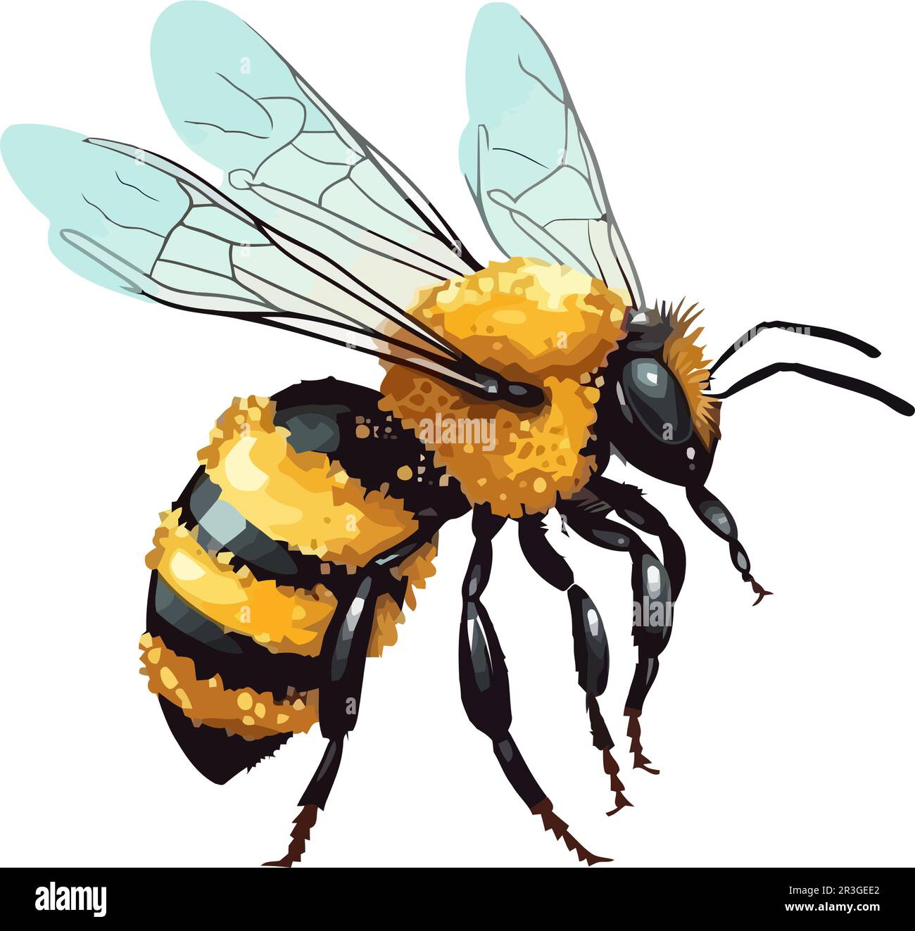 Pollen close up animal Stock Vector Images - Alamy