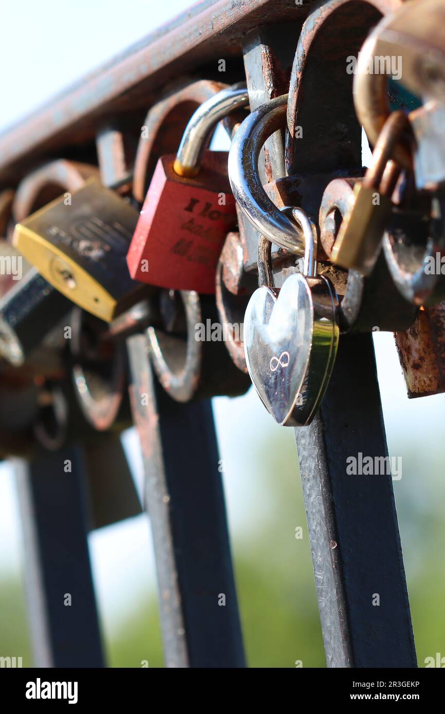 Declaration of loyalty hi-res stock photography and images - Alamy