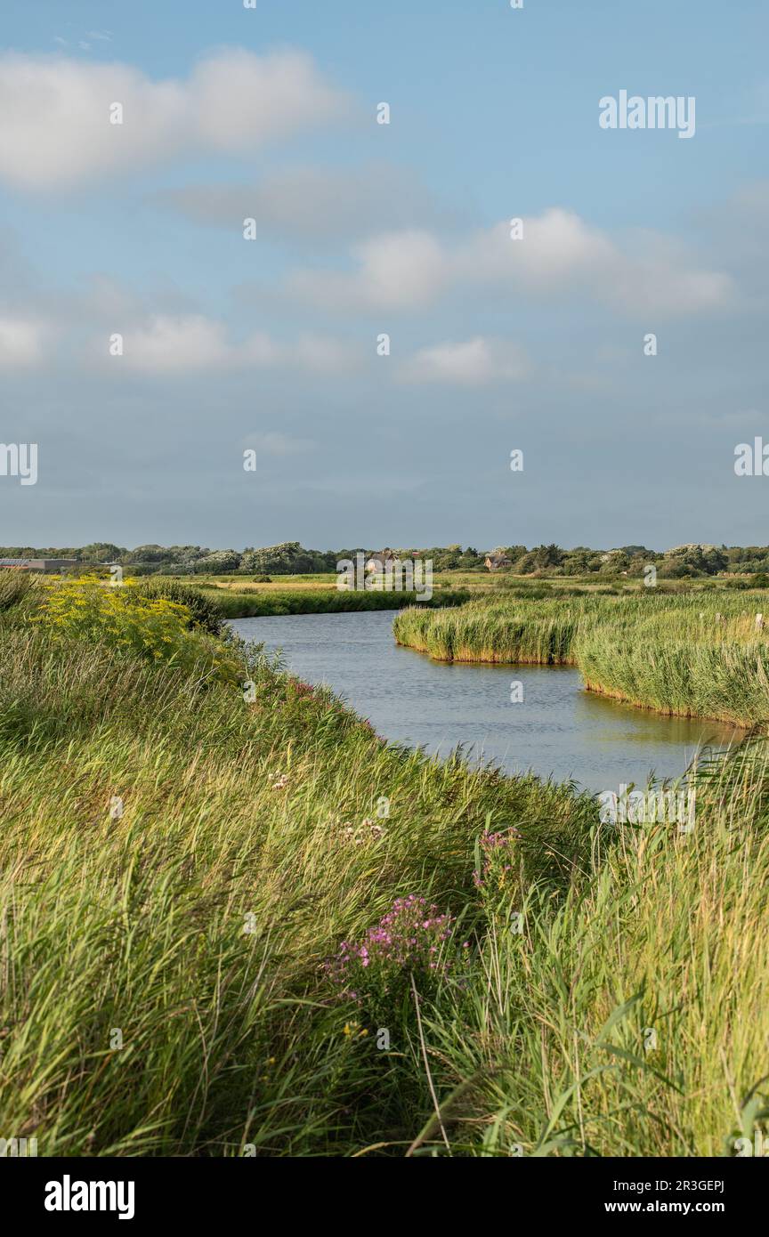 Polder areas hi-res stock photography and images - Alamy