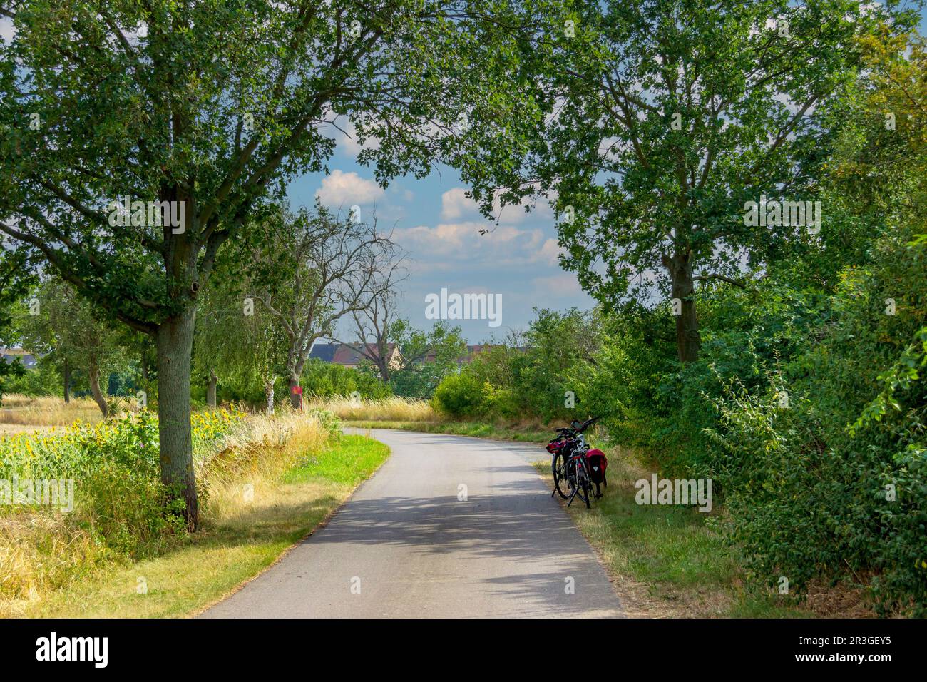 Elbe Cycle Route Stock Photo - Alamy