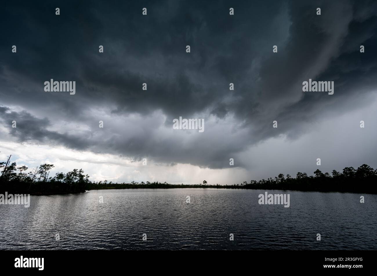 Dark storm clouds and rain forming over Pine Glades Lake in Everglades ...