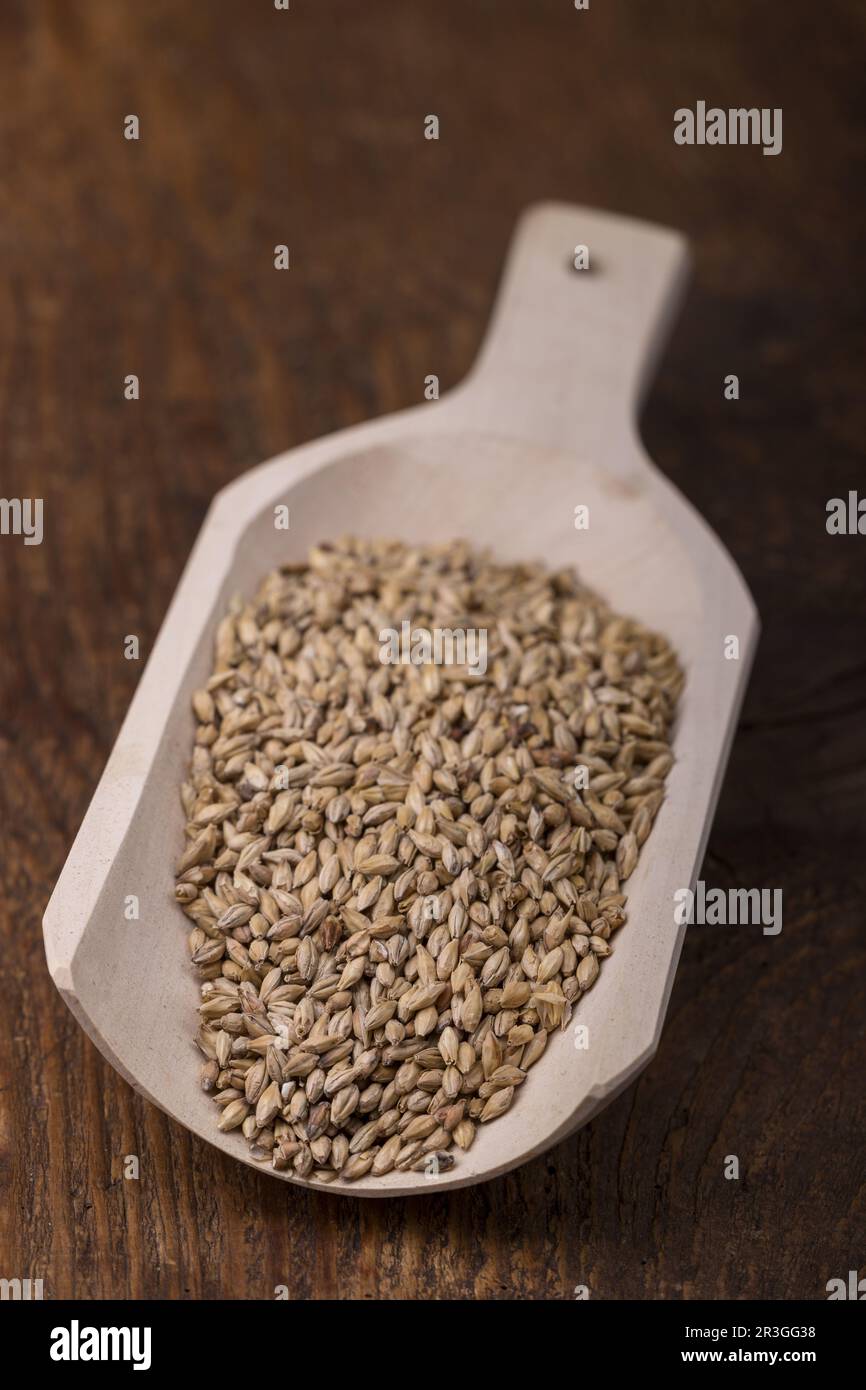 Cooking malt hi-res stock photography and images - Alamy