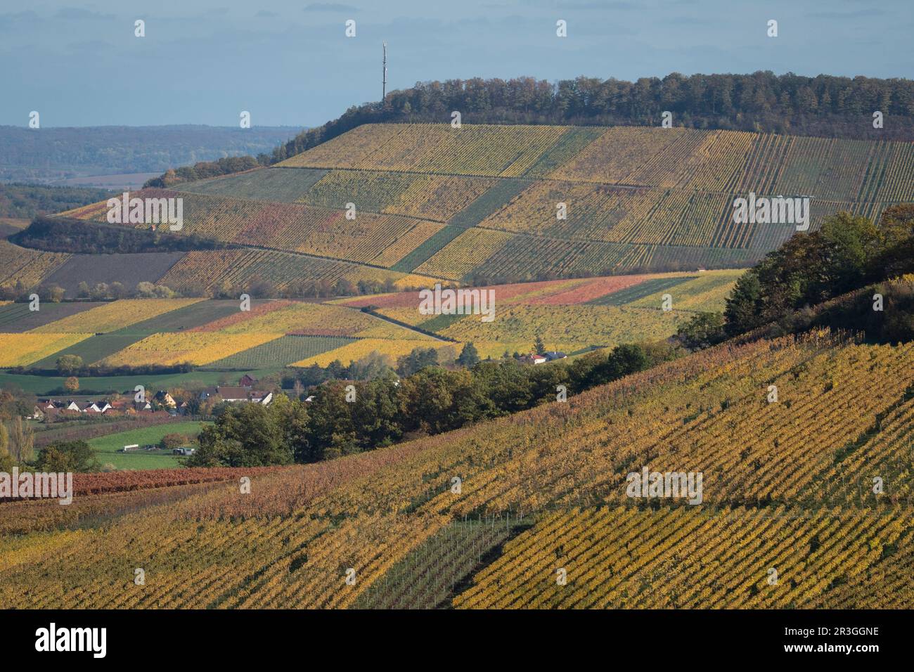 Loewenstein hi-res stock photography and images - Alamy