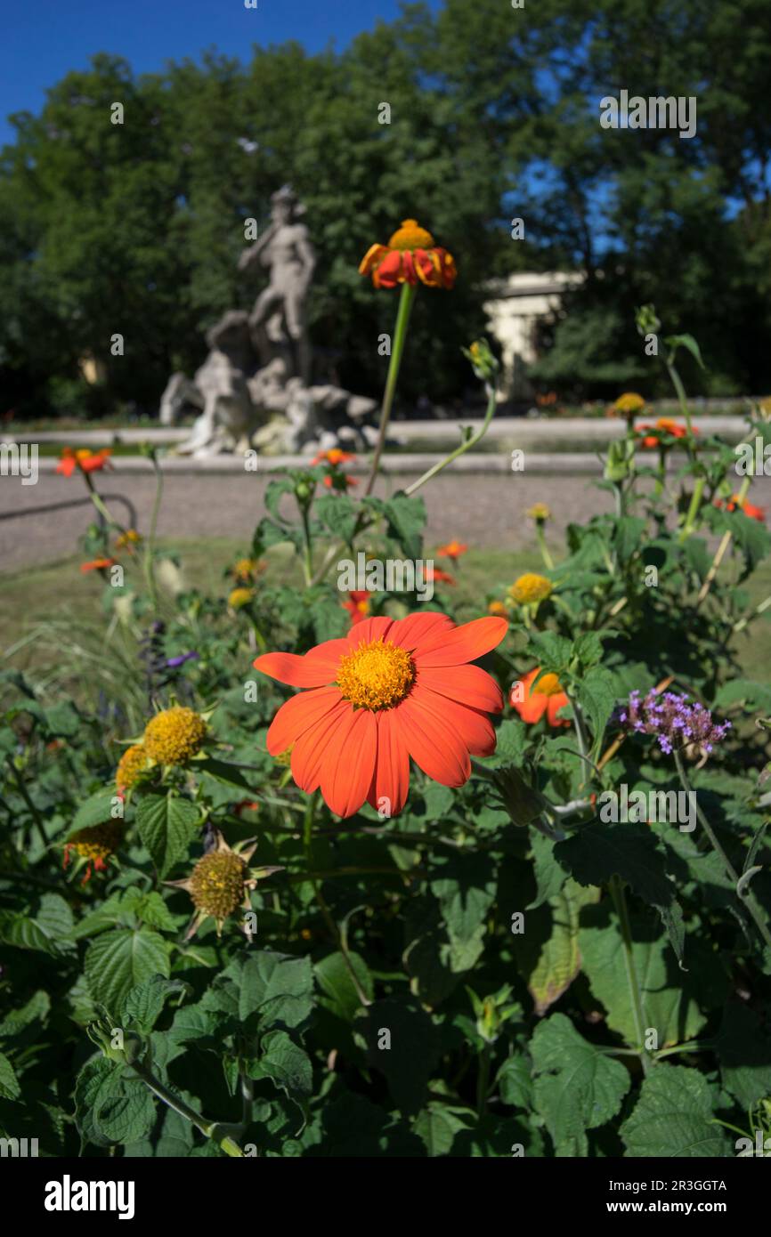 Old botanical garden in Munich Stock Photo - Alamy