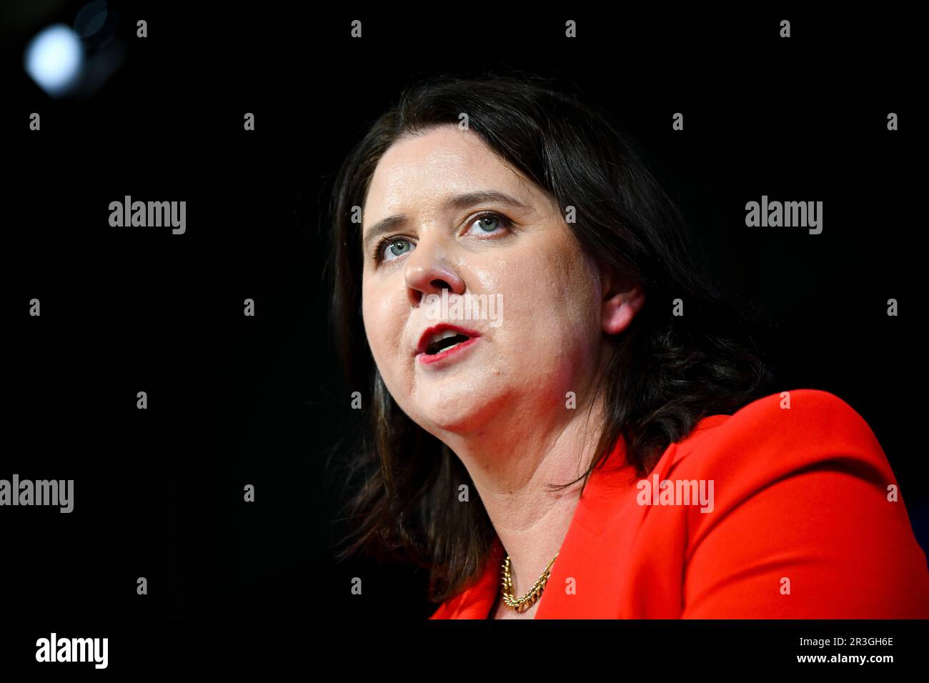 Regional Australia Institute CEO Liz Ritchie speaks at the National ...