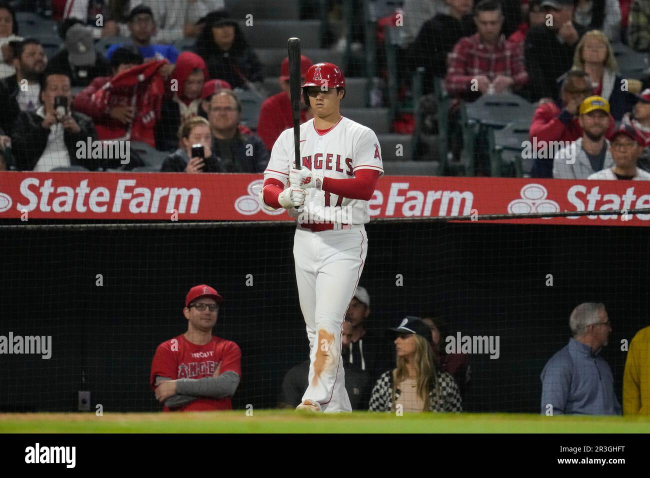 Los Angeles Angels designated hitter Shohei Ohtani (17) gets a new bat ...