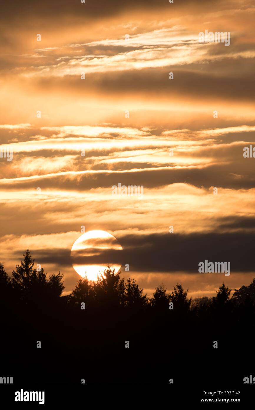 Sundown forest hi-res stock photography and images - Alamy