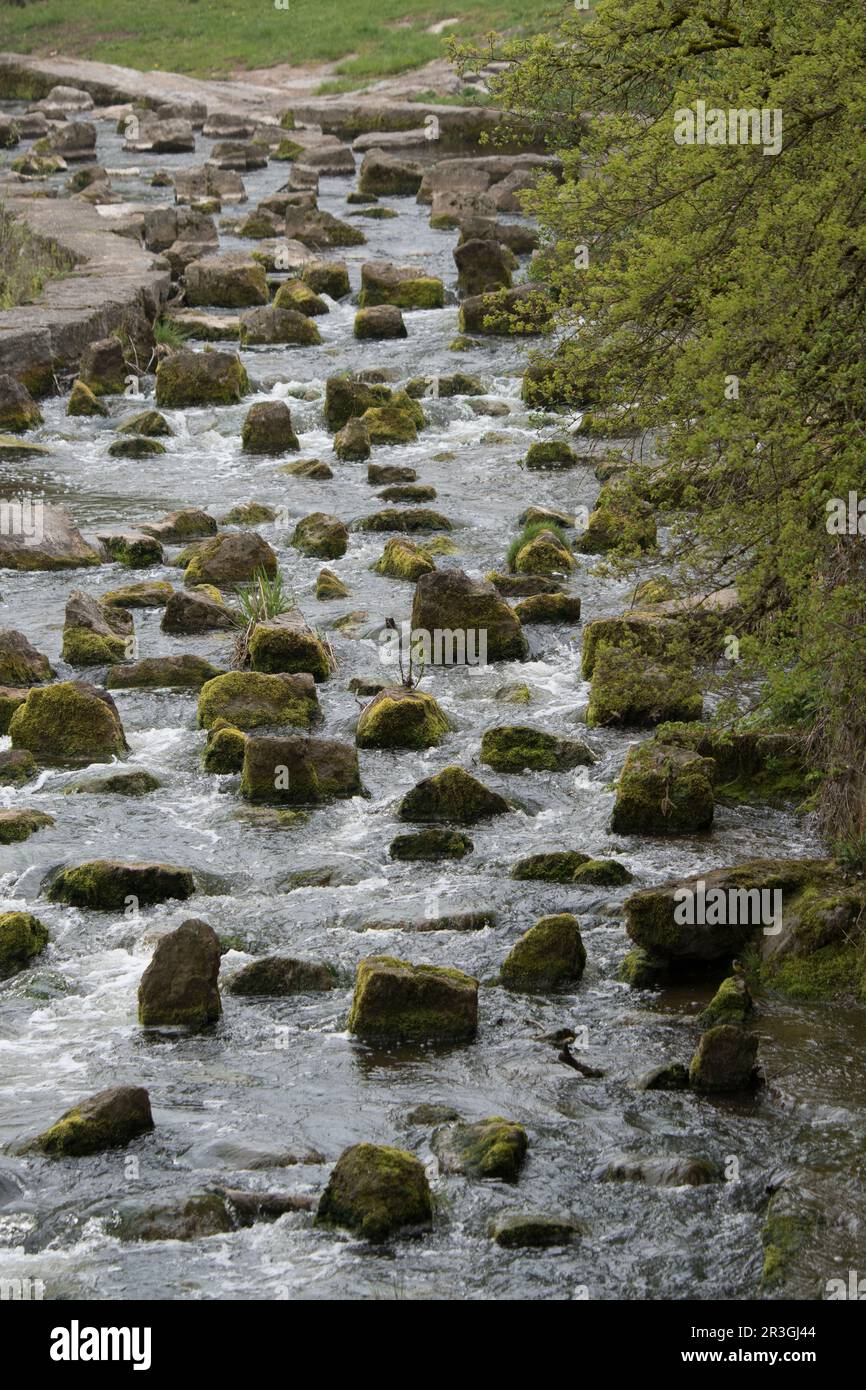 Fish pass in the kocher valley Stock Photo - Alamy