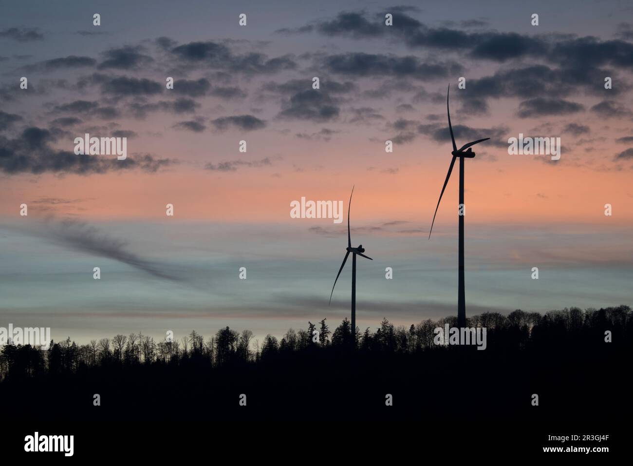 Wind turbine in the forest Stock Photo - Alamy