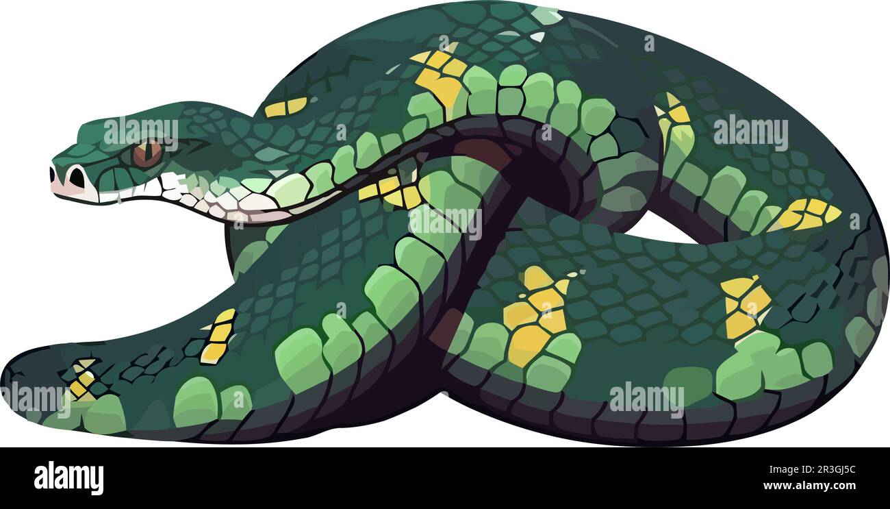 Viper in wild poisonous Cut Out Stock Images & Pictures - Alamy