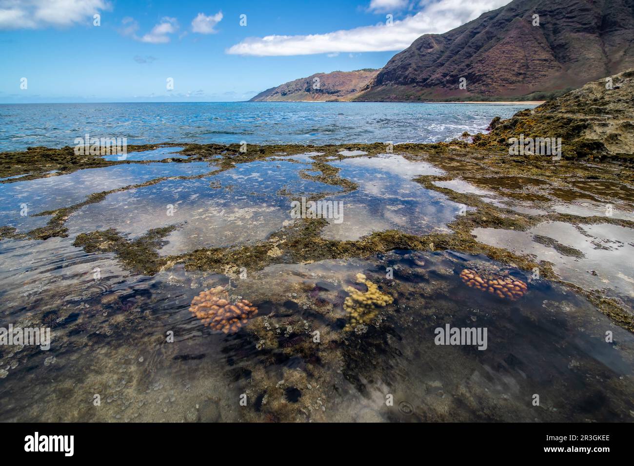 Tropical Paradise Beach Oahu Hawaii Stock Photo - Alamy