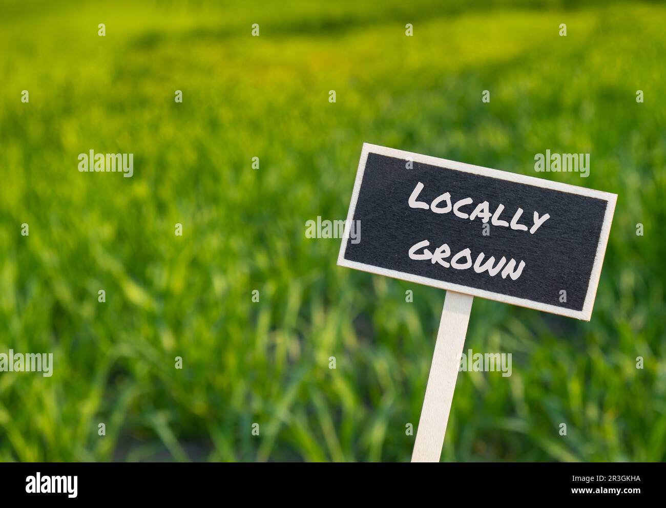 Wooden information label sign with text LOCALLY GROWN against defocused ...