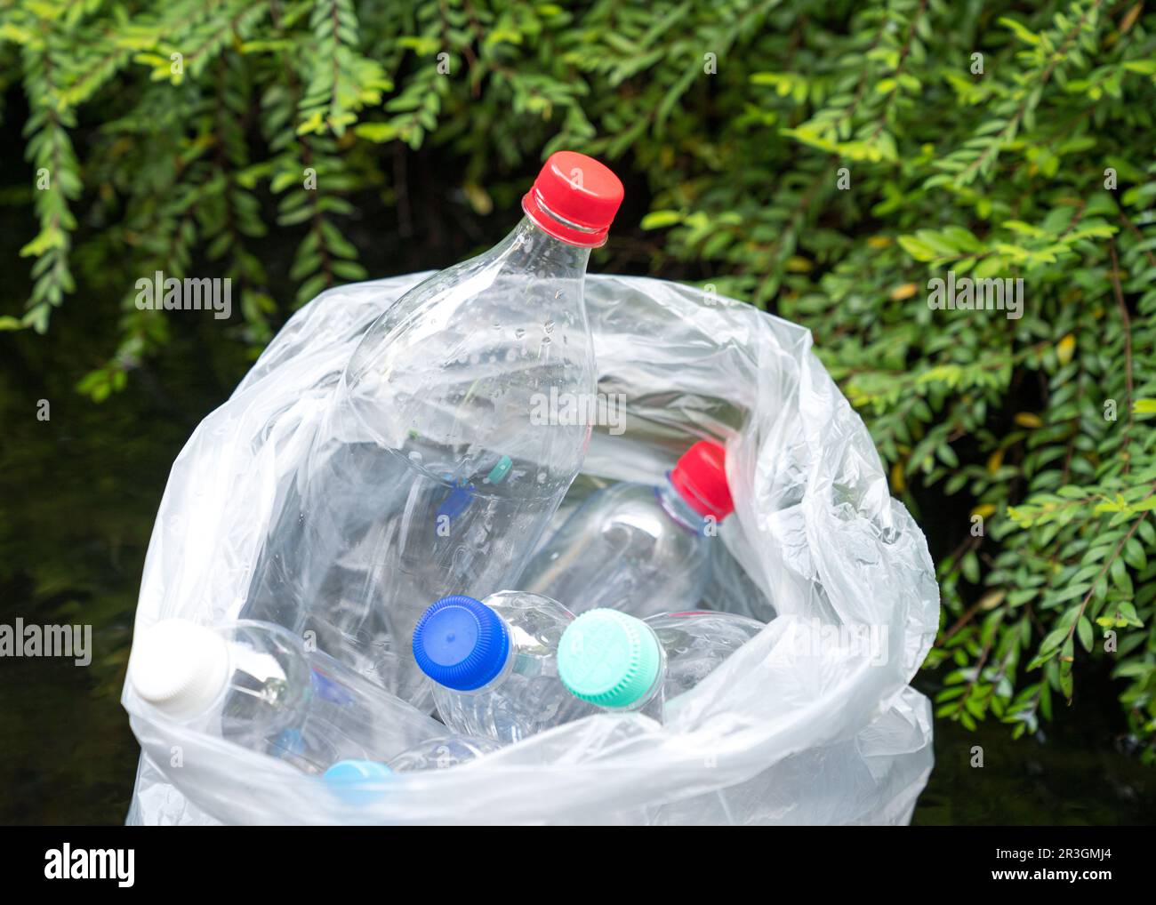 Plastic bottles floating on water surface. Pollution or trash concept ...