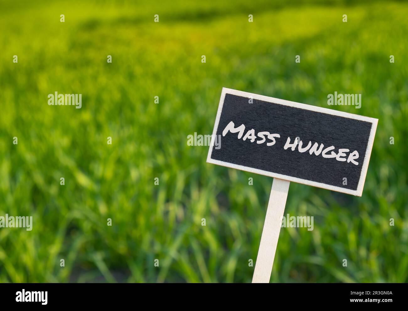 Wooden information label sign with text MASS HUNGER against defocused ...