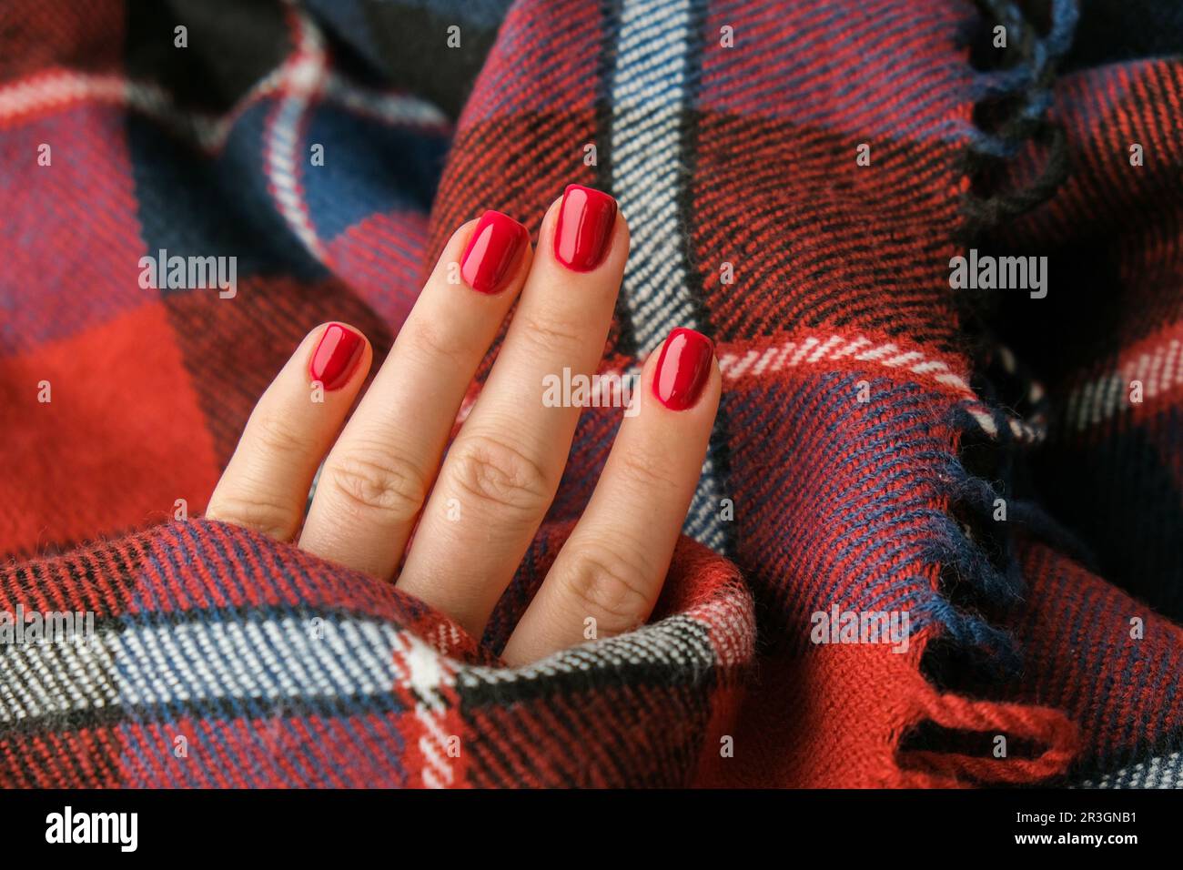 Stylish red female nails. Modern Beautiful manicure. Autumn winter nail ...