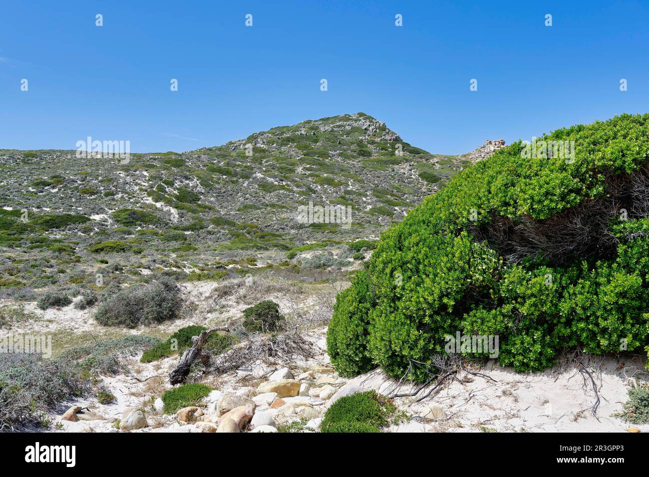 Cape Point nature reserve, Cape of Good Hope, Cape Town, South Africa ...